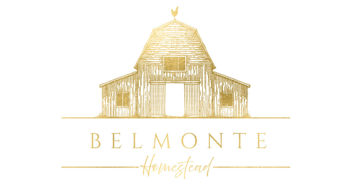 Belmonte Logo